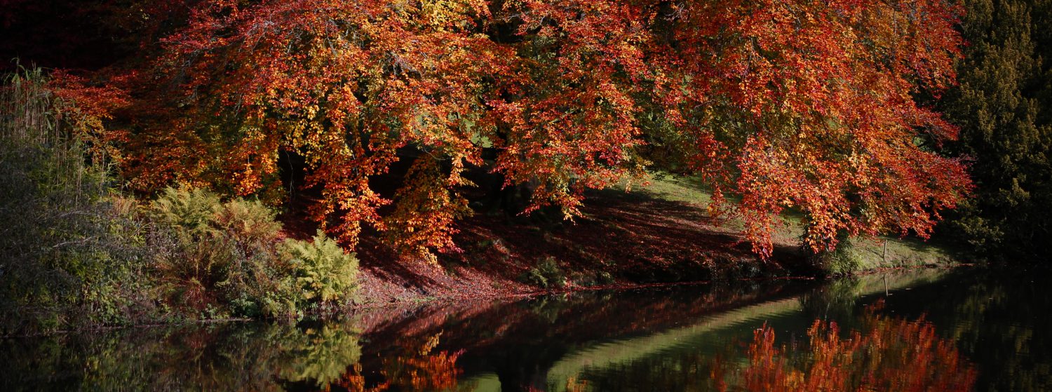 Things to do in November – Her Country Living