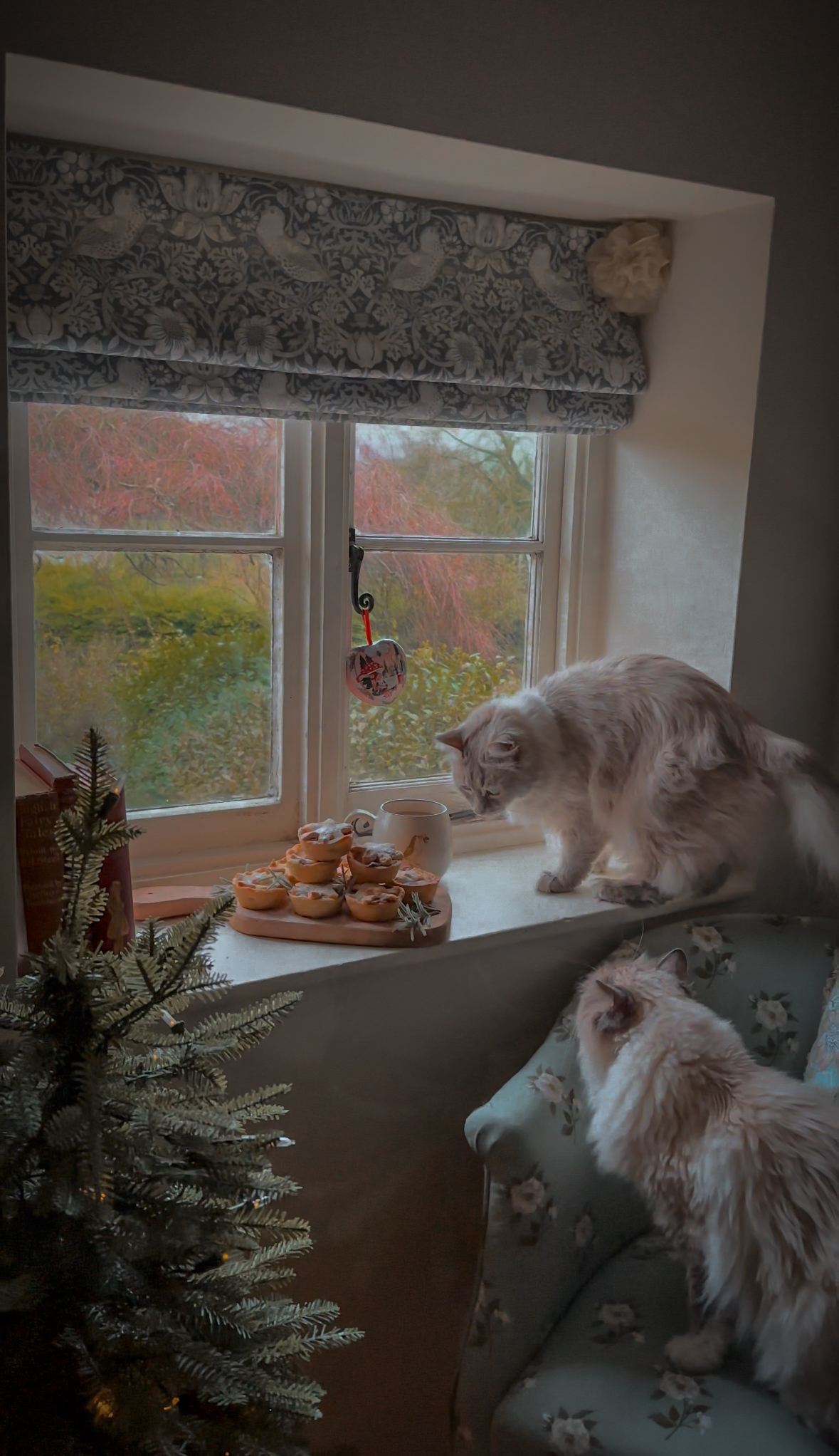 Lucy’s festive mince pies – Her Country Living